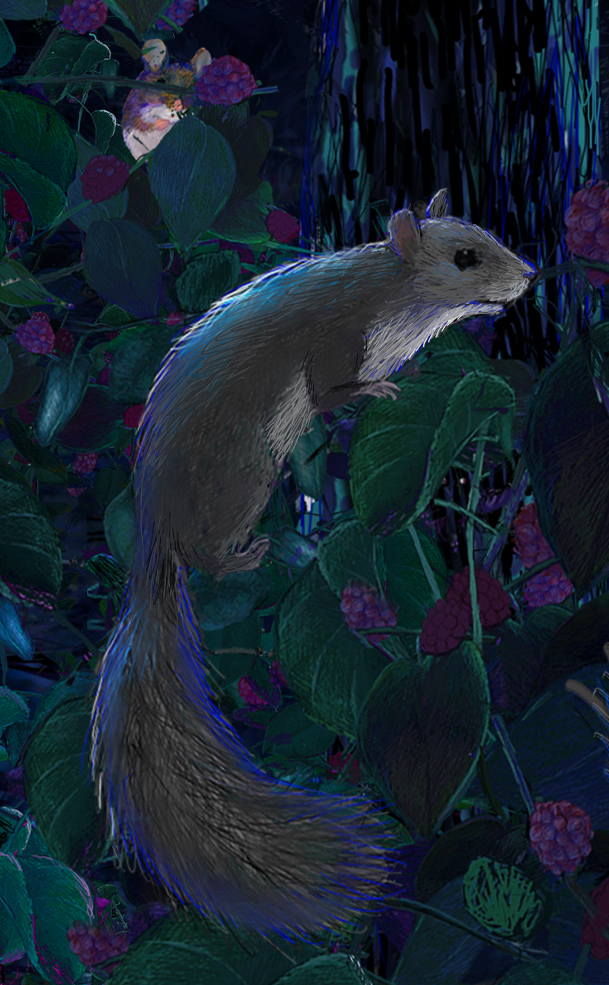 Squirrel Mouse – Visible Spectrum